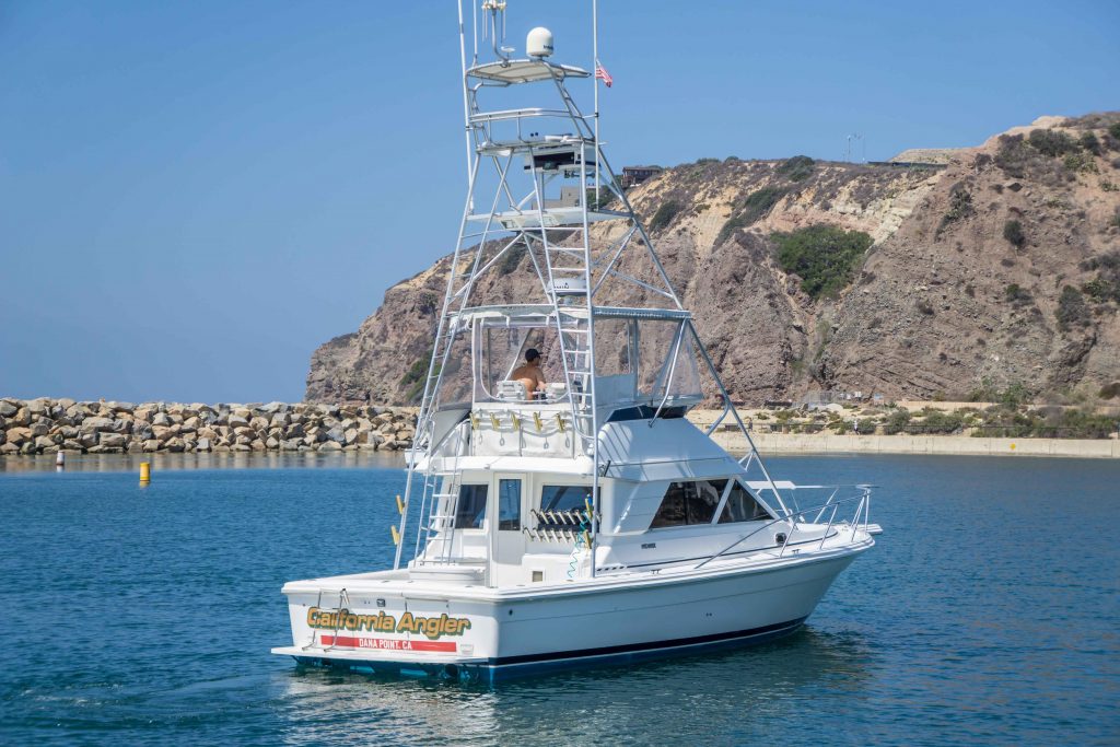 38 ft 1998 Phoenix Convertible Boats for sale | Kusler Yachts - Sport ...